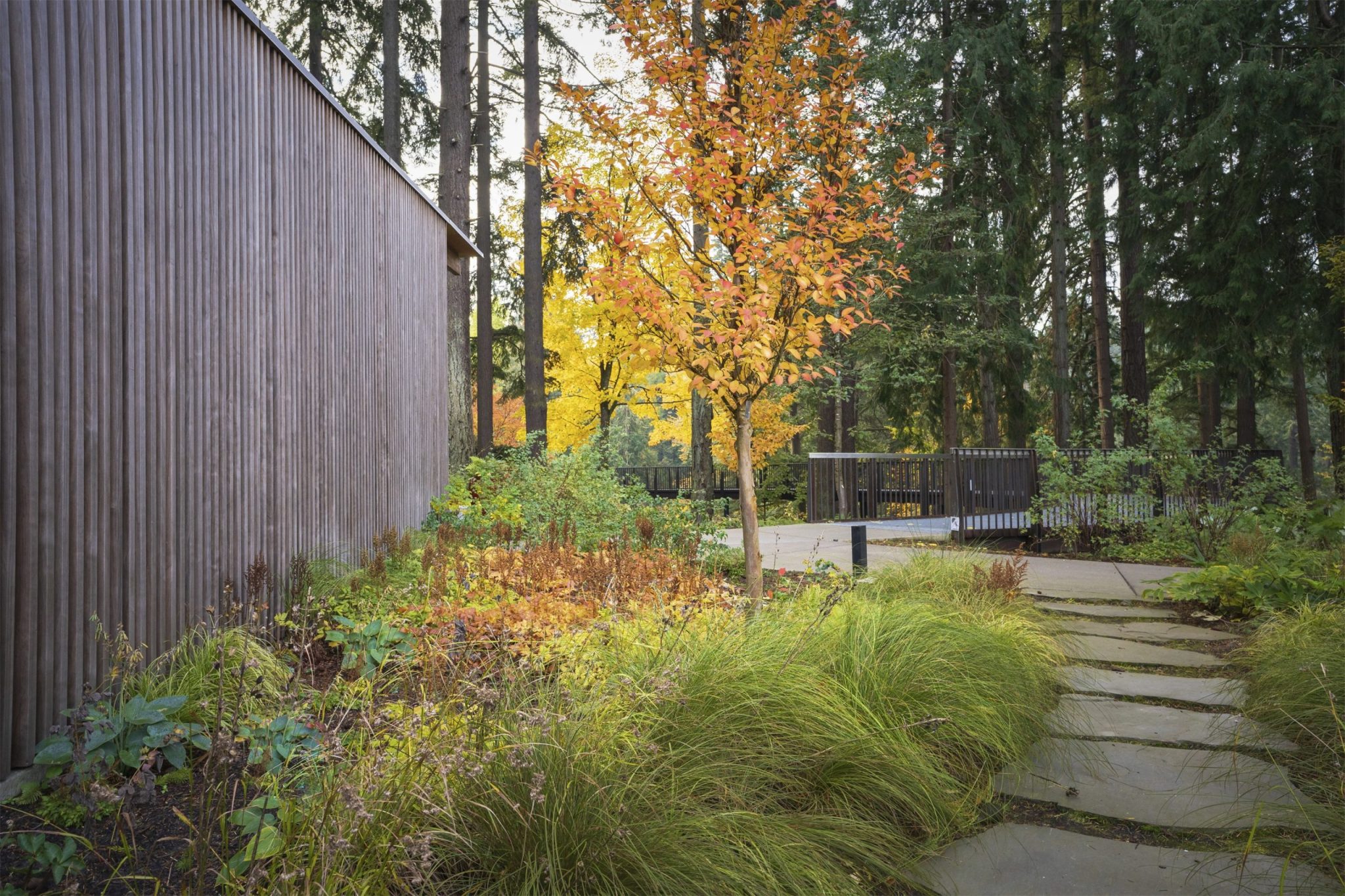 波特兰利奇植物园 · 凉亭设计 / Land Morphology + Olson Kundig – mooool木藕设计网