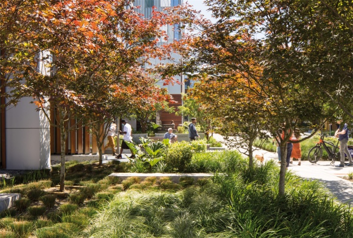“Breathing” park-like block landscape, building open and shared ...