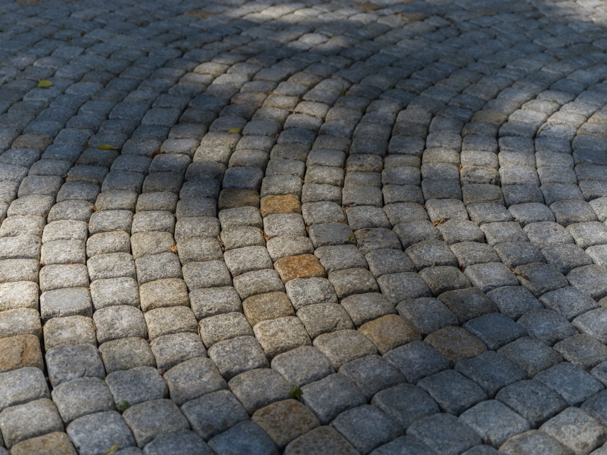 莫斯科伊斯特拉中央公园 / Basis architectural bureau – mooool木藕设计网