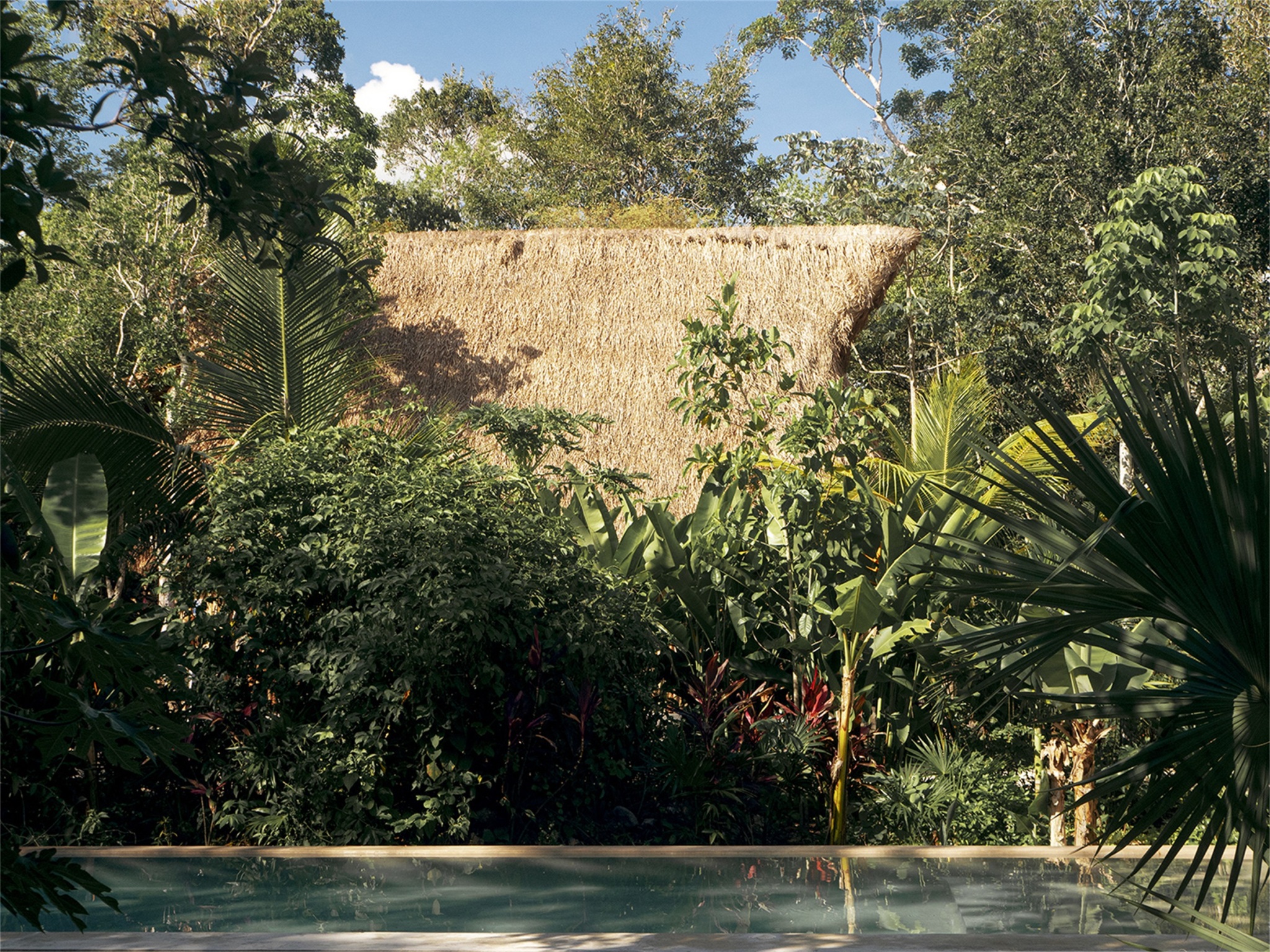 森林与花园之间，别墅设计 / NOIZ architekti – mooool木藕设计网