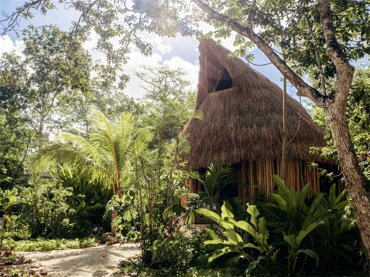 森林与花园之间，别墅设计 / NOIZ architekti – mooool木藕设计网