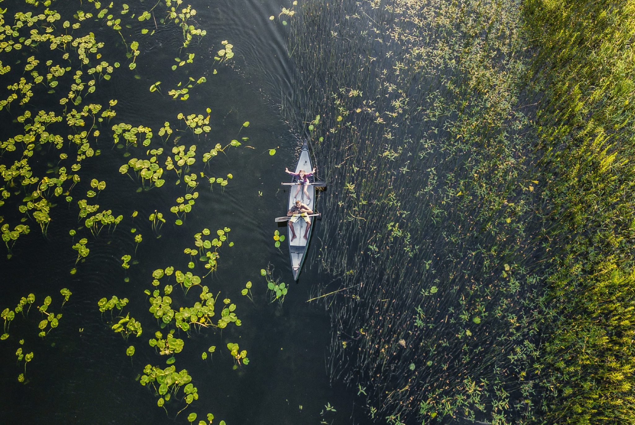 水乡盛景再现沪郊—江南圩田综合水生态系统修复设计 / SLADI – mooool木藕设计网
