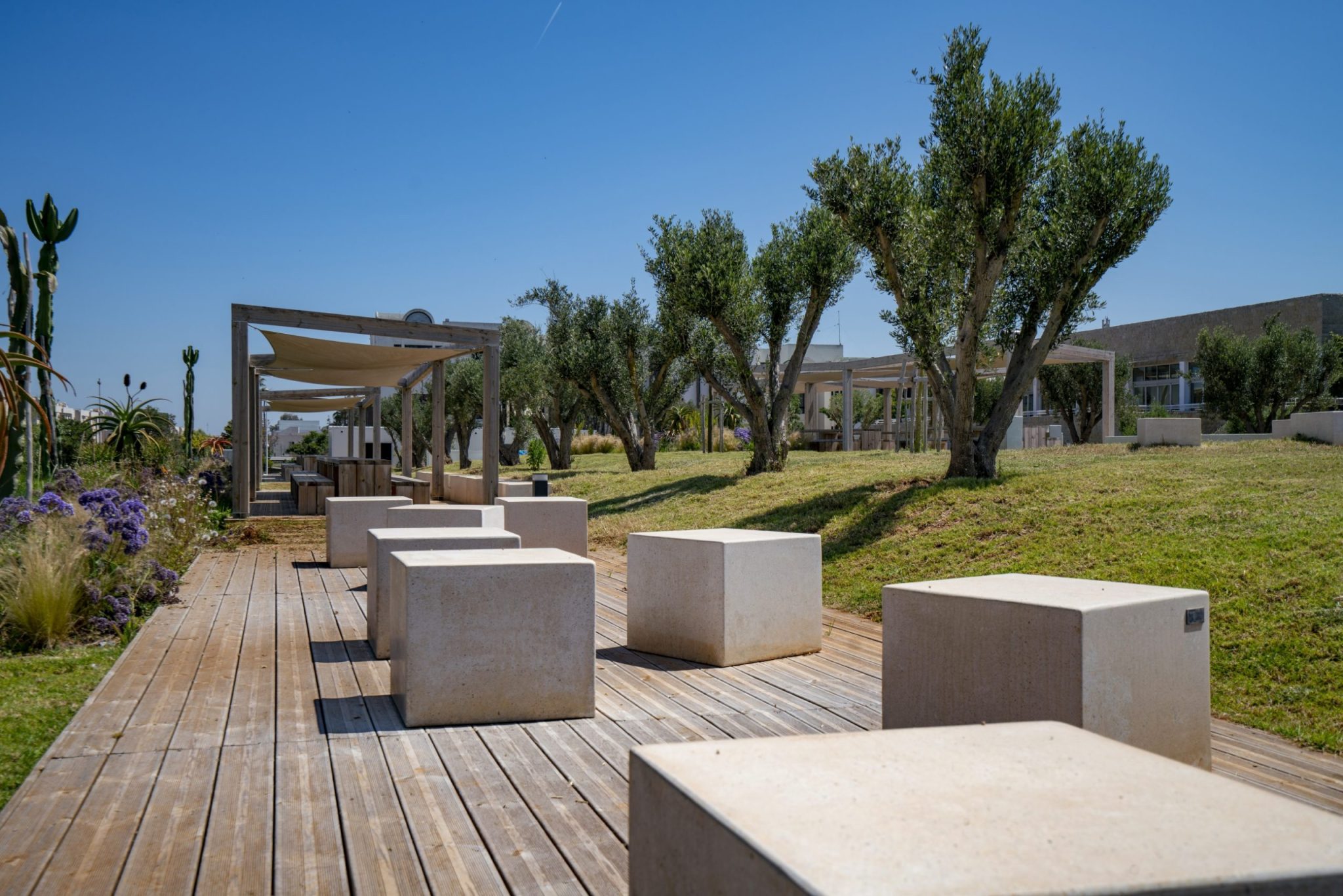 MOHAMED VI POLYTECHNIC UNIVERSITY (UM6P), Rabat, Morocco by PAN ...