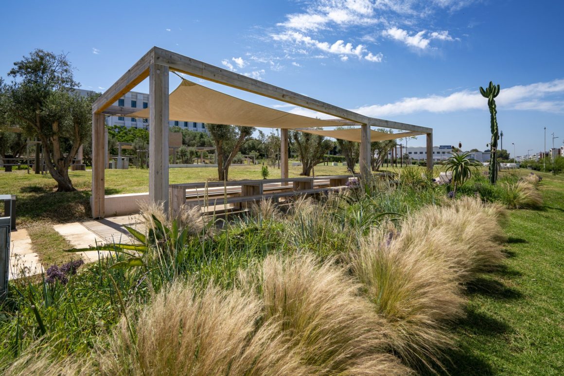 MOHAMED VI POLYTECHNIC UNIVERSITY (UM6P), Rabat, Morocco by PAN ...