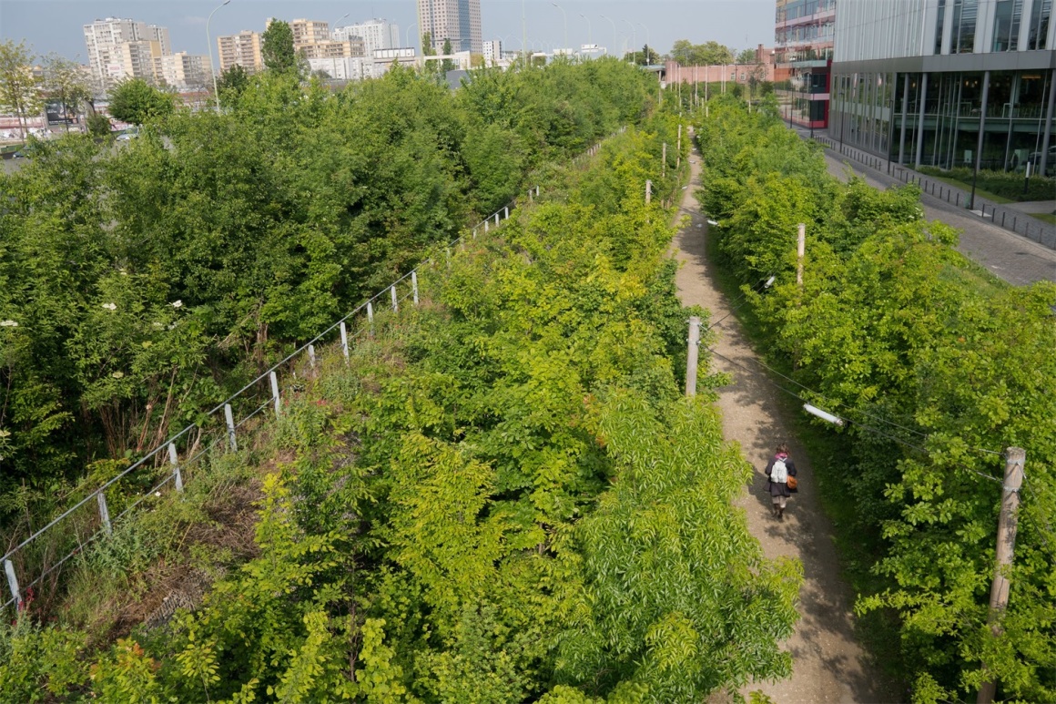 Urban linear park – mooool