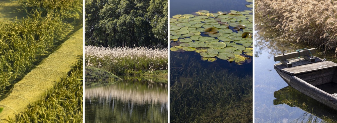 水乡盛景再现沪郊—江南圩田综合水生态系统修复设计 / SLADI – mooool木藕设计网
