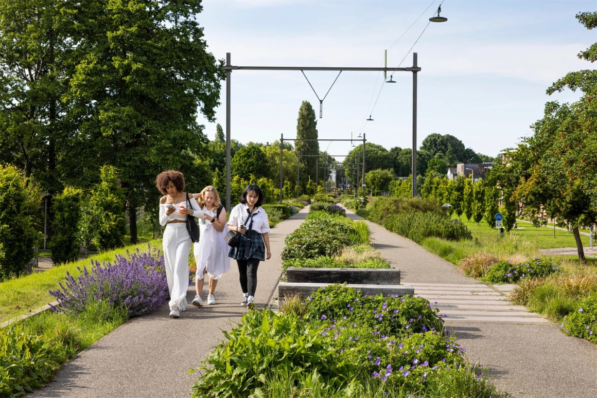 Urban linear park – mooool