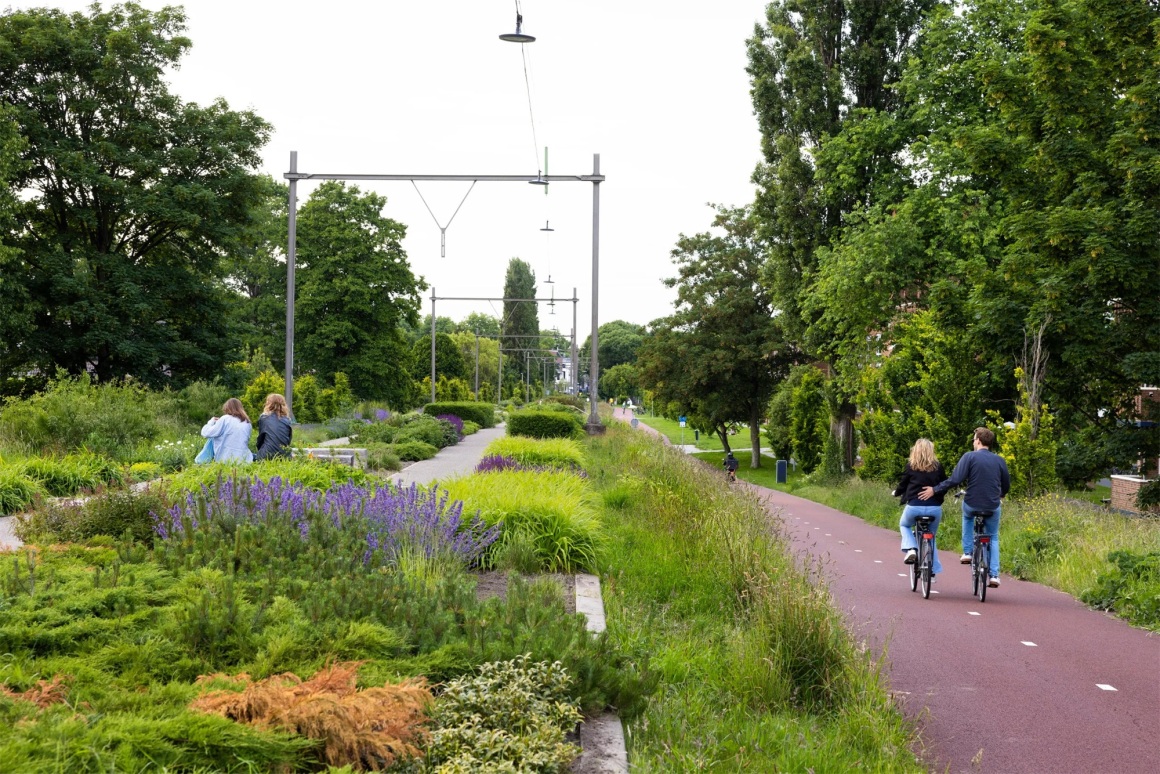 Urban linear park – mooool