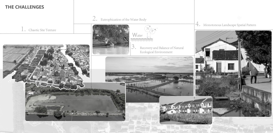 水乡盛景再现沪郊—江南圩田综合水生态系统修复设计 / SLADI – mooool木藕设计网