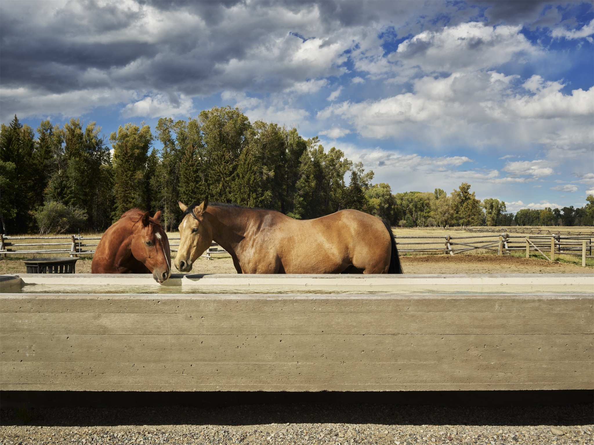 重塑自然牧场，开辟现代游牧生活空间 / CLB Architects – mooool木藕设计网