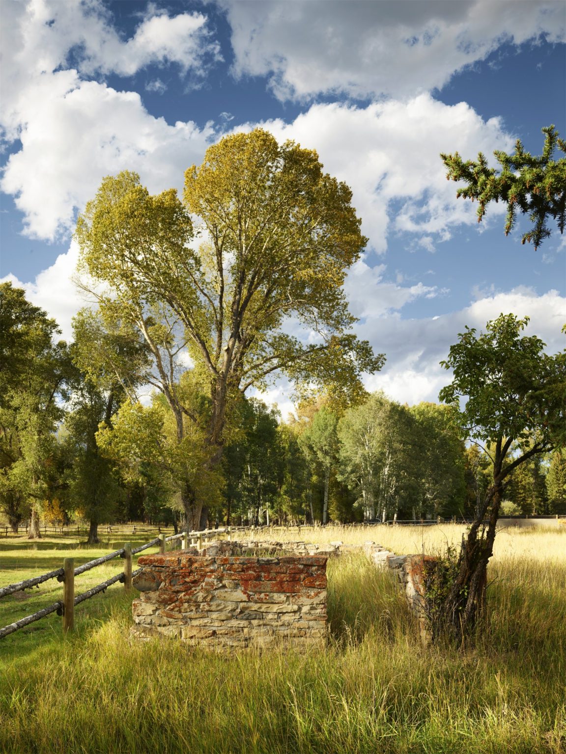 重塑自然牧场，开辟现代游牧生活空间 / CLB Architects – mooool木藕设计网