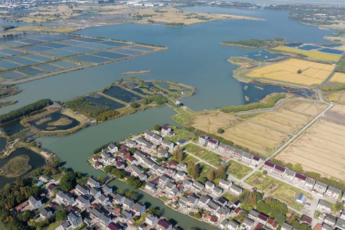 水乡盛景再现沪郊—江南圩田综合水生态系统修复设计 / SLADI – mooool木藕设计网