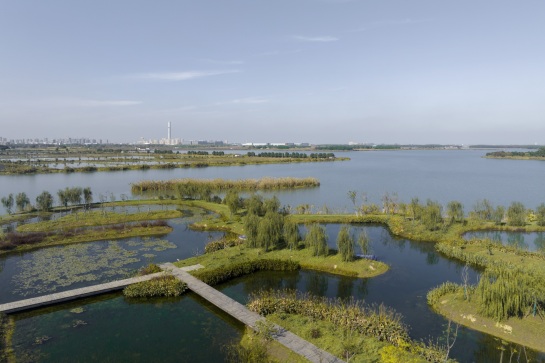 水乡盛景再现沪郊—江南圩田综合水生态系统修复设计 / SLADI – mooool木藕设计网