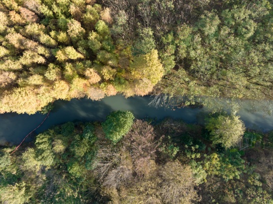 水乡盛景再现沪郊—江南圩田综合水生态系统修复设计 / SLADI – mooool木藕设计网