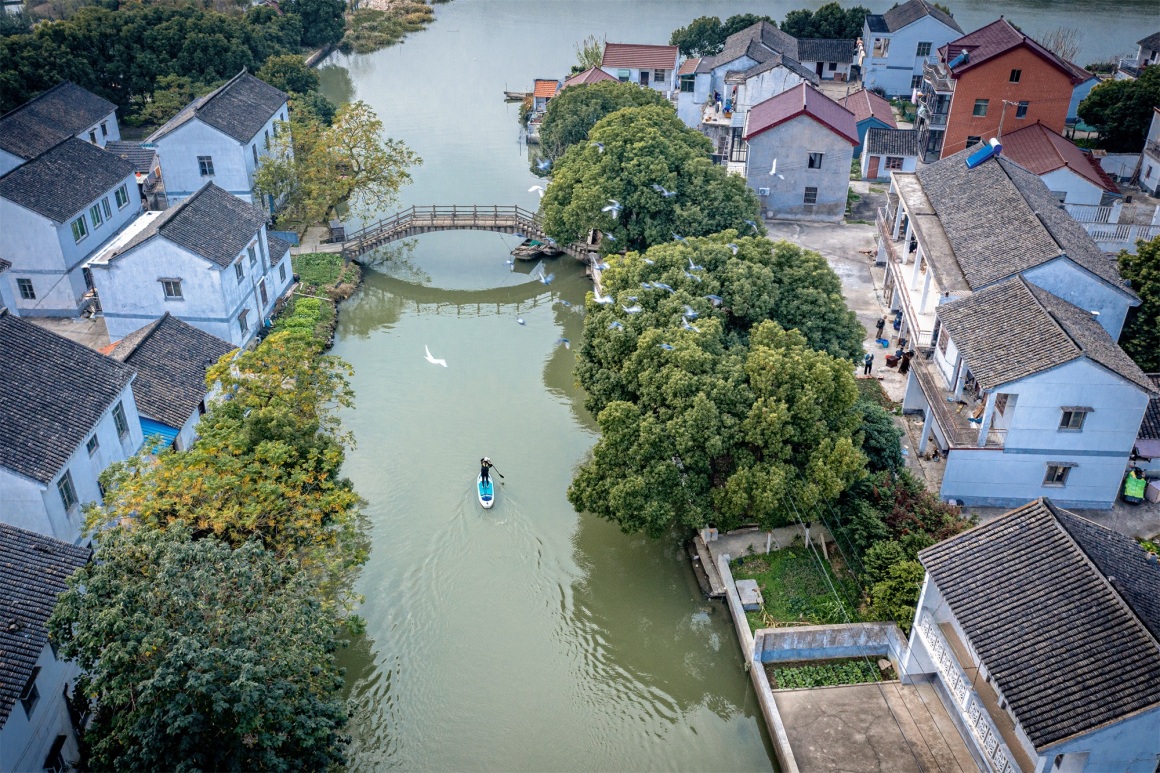 水乡盛景再现沪郊—江南圩田综合水生态系统修复设计 / SLADI – mooool木藕设计网
