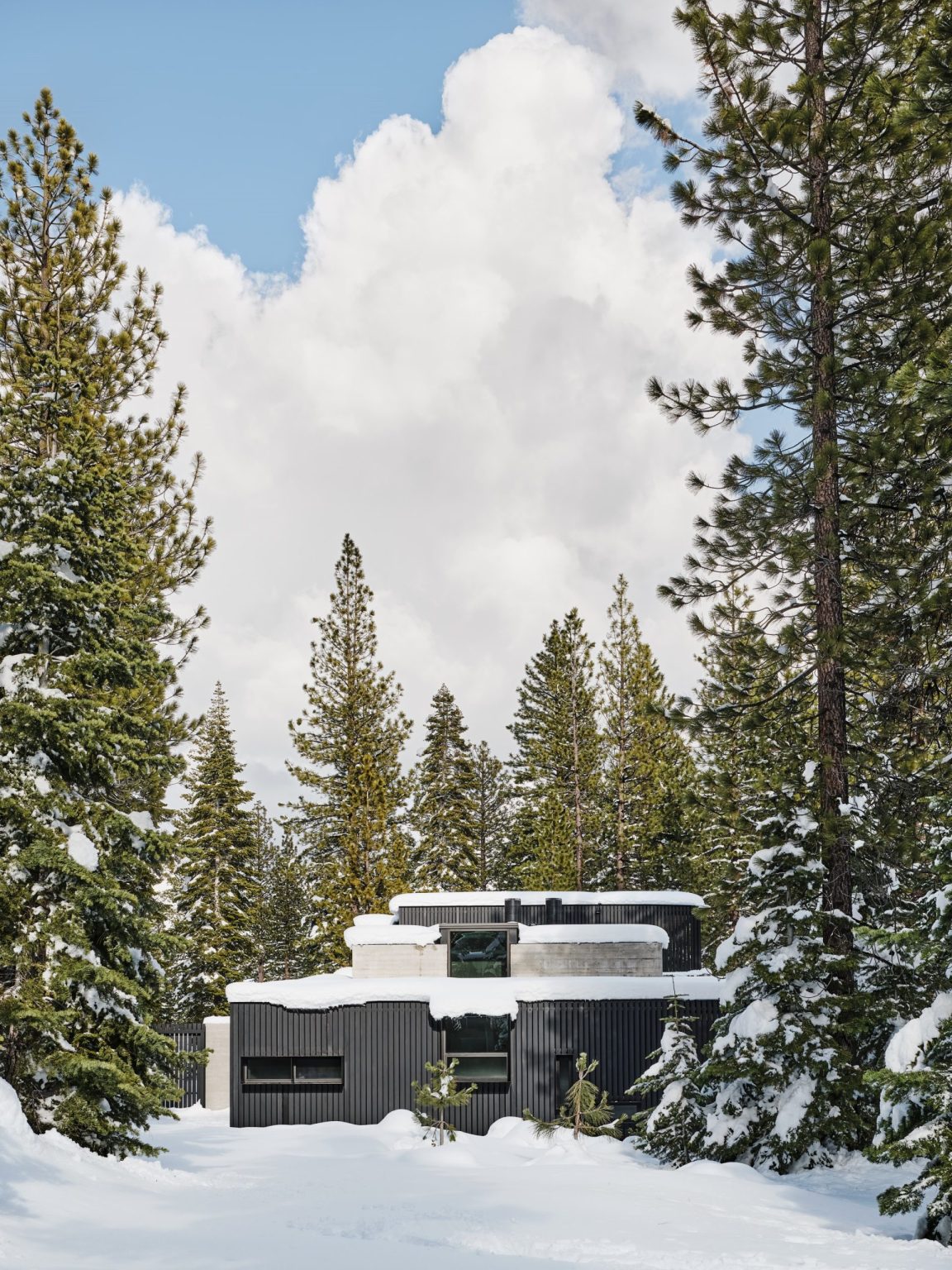 Forest House by Faulkner Architects – mooool