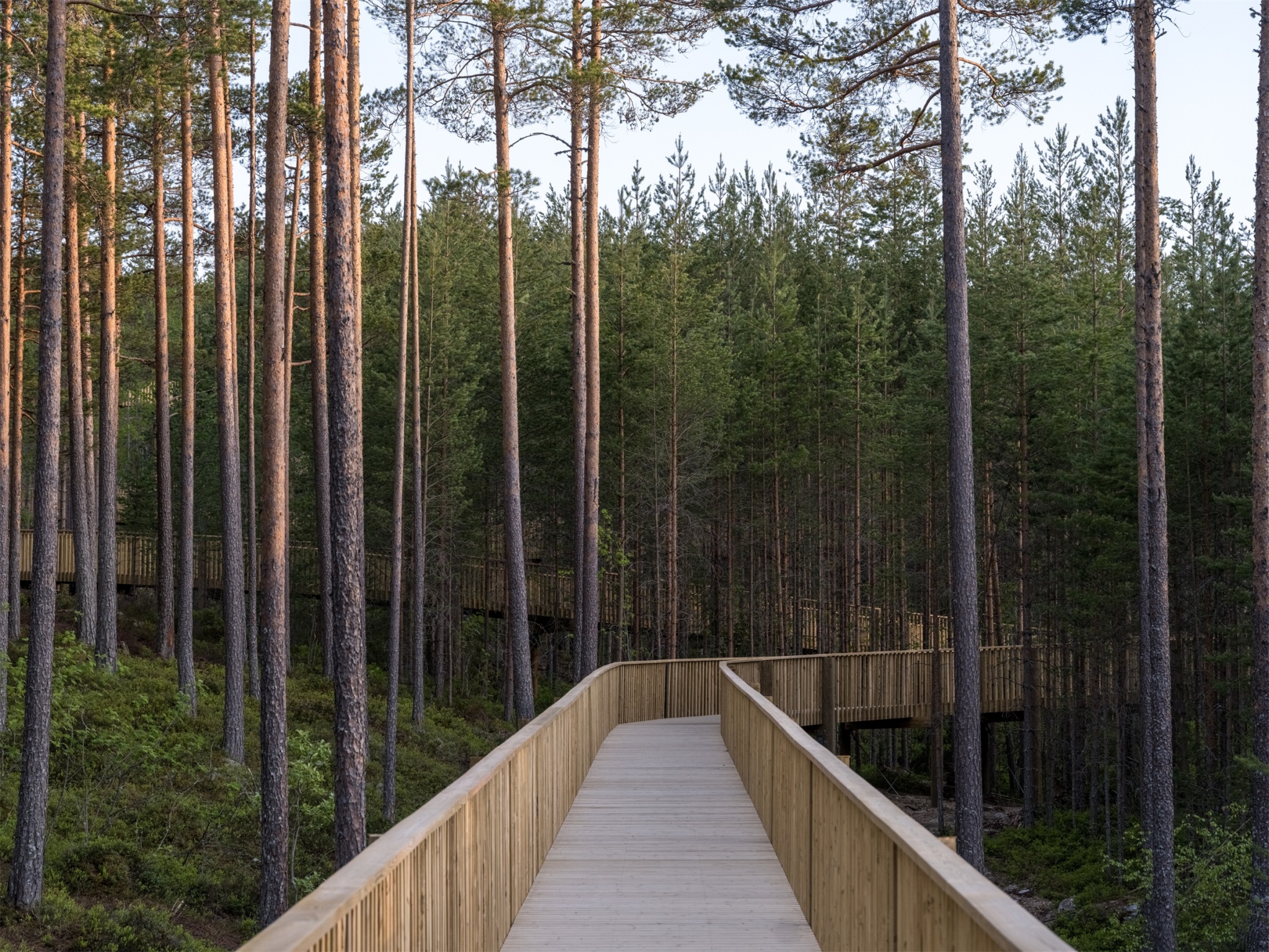 穿山越岭 | 在树梢上漫步 / EFFEKT – mooool木藕设计网