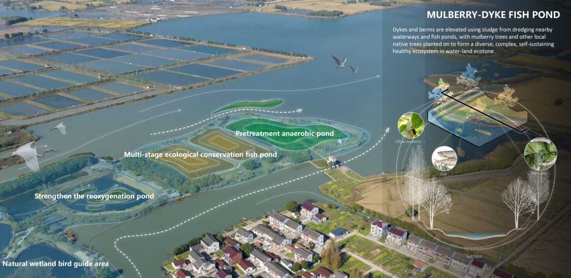水乡盛景再现沪郊—江南圩田综合水生态系统修复设计 / SLADI – mooool木藕设计网