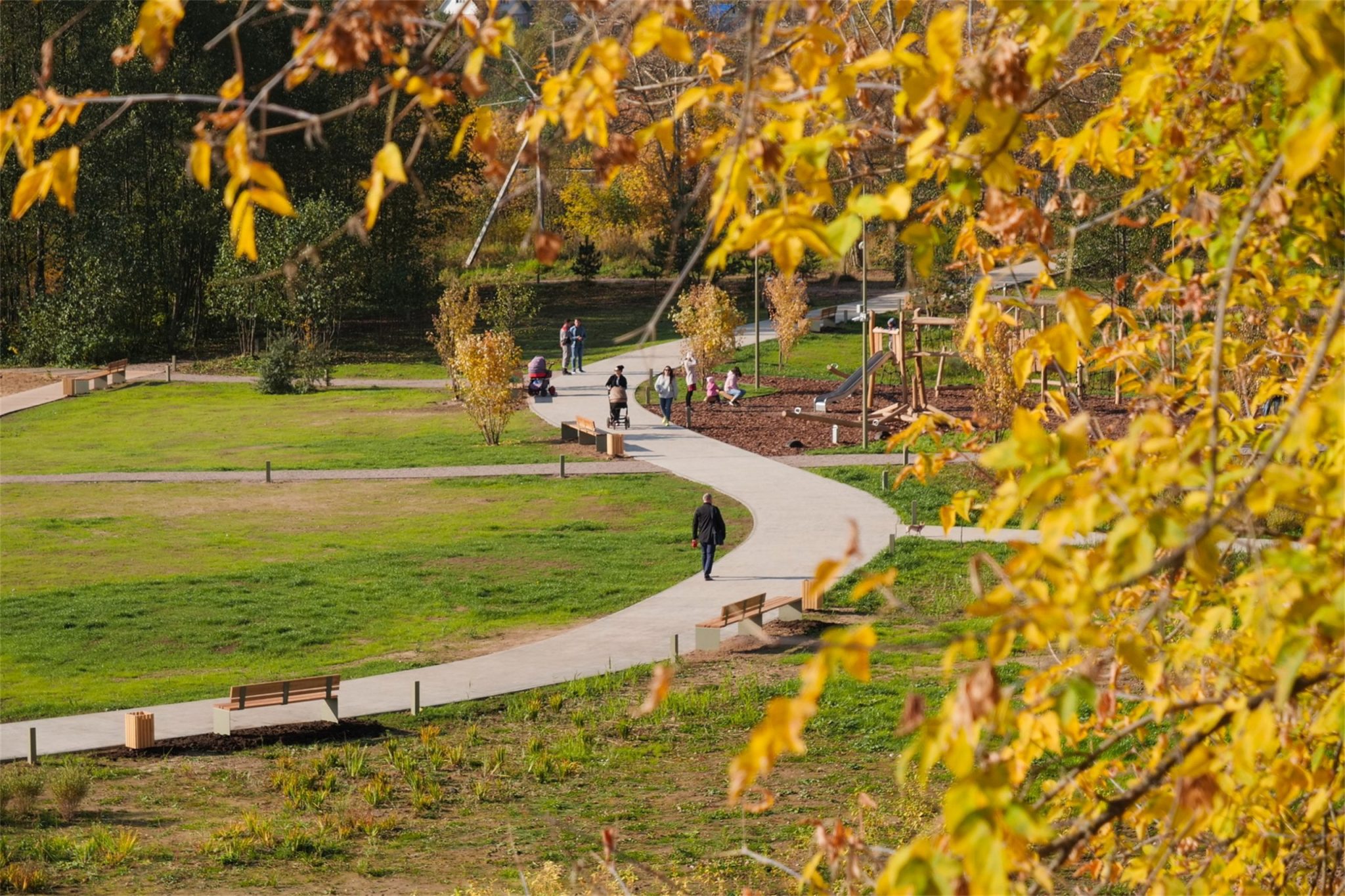 Rediscover river Vyazma. Renovation of the Red Sosenki recreation area ...