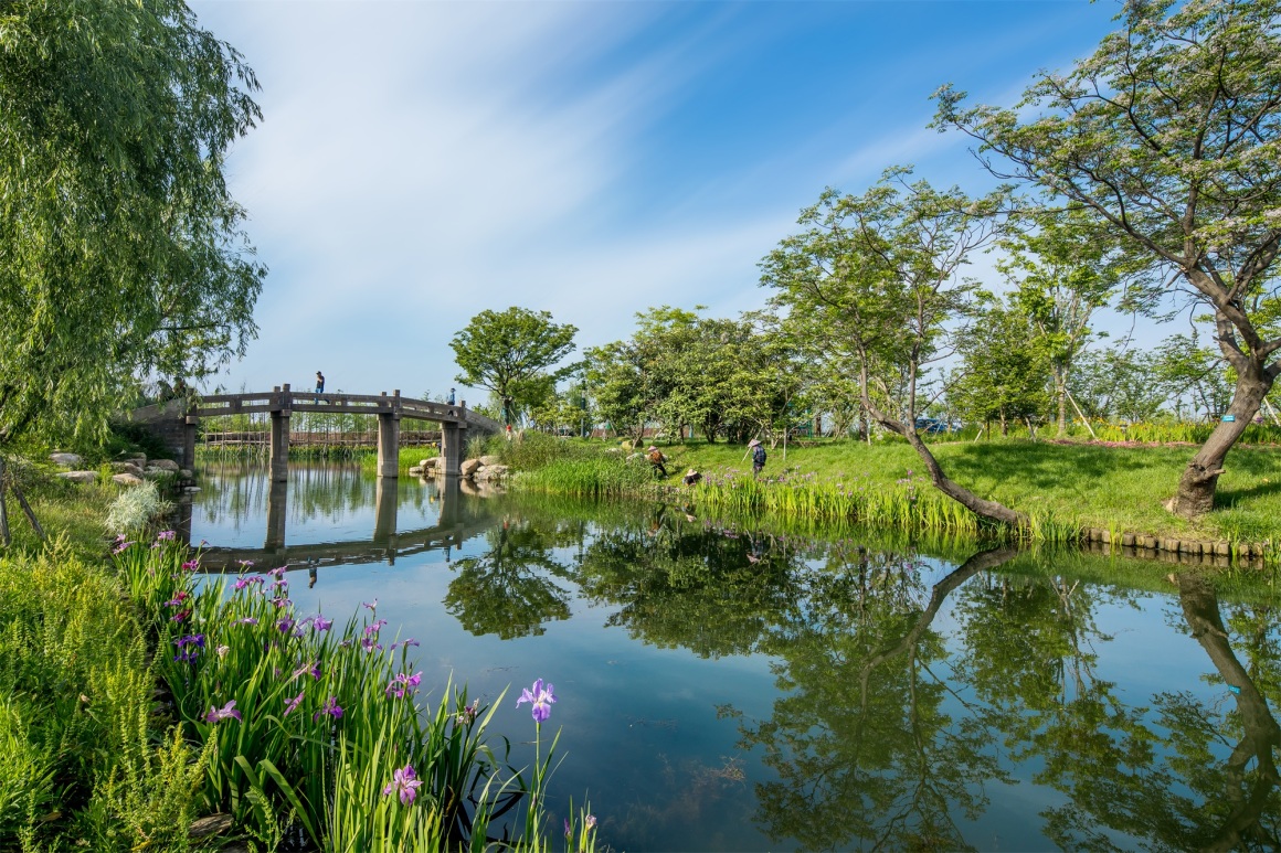 长三角一体化示范区环元荡滨水景观设计 / 启迪设计 – mooool木藕设计网