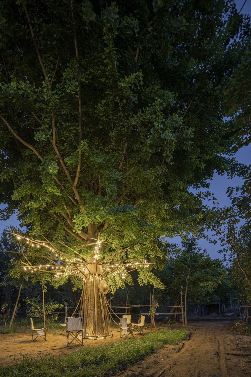 拥抱可持续 / 竹装置——Tree of Life / UK Studio – mooool木藕设计网