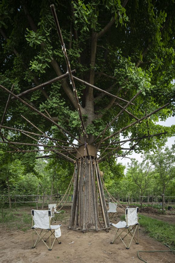 拥抱可持续 / 竹装置——Tree of Life / UK Studio – mooool木藕设计网