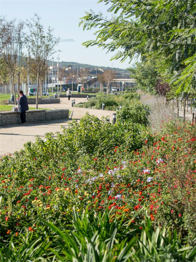 Eix de la via by Batlleiroig – mooool