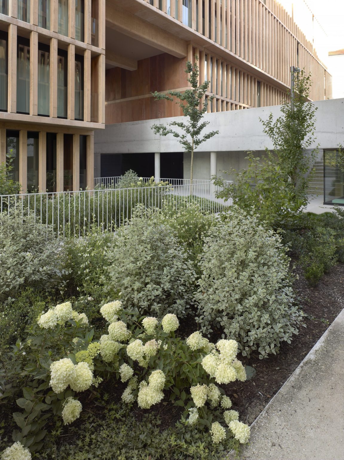 圣地亚哥 Cornes 住宅区庭院景观 / Orza paisajismo – mooool木藕设计网