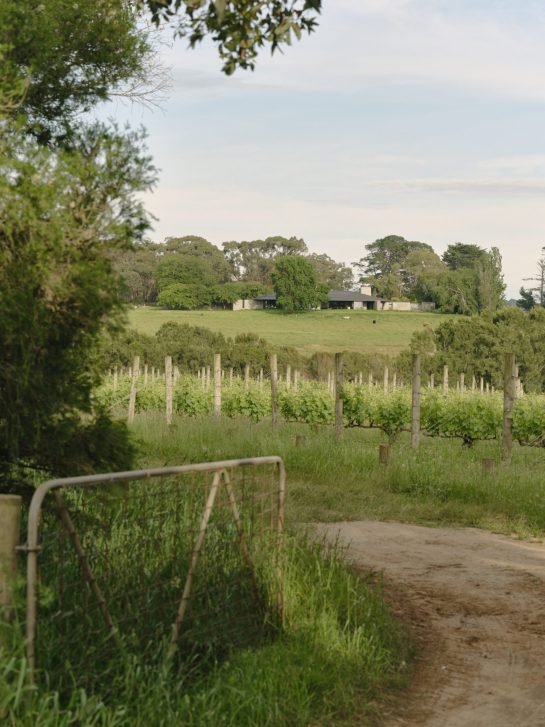 Merricks Farmhouse by ML-A + Nielsen Jenkins – mooool