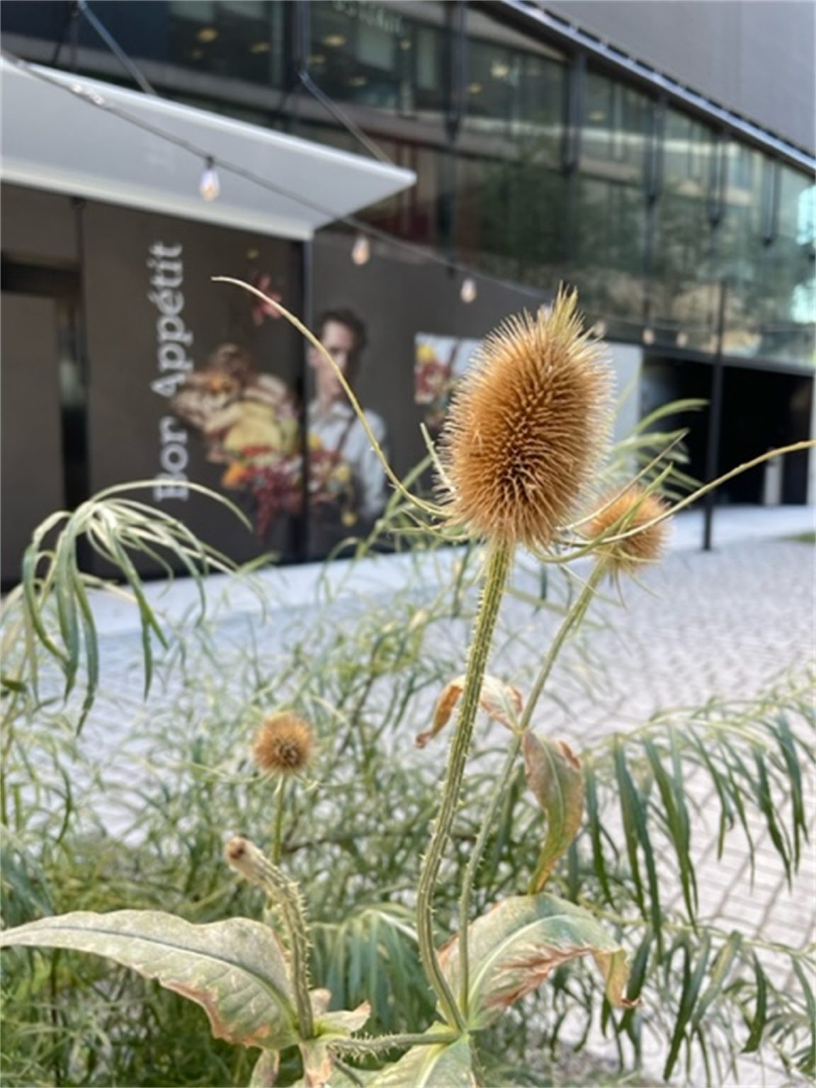 Renovation of the Sihlcity Area, Zurich by Neuland ...