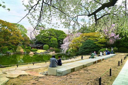 海外设计师 01 | 侯斯弋 – mooool木藕设计网