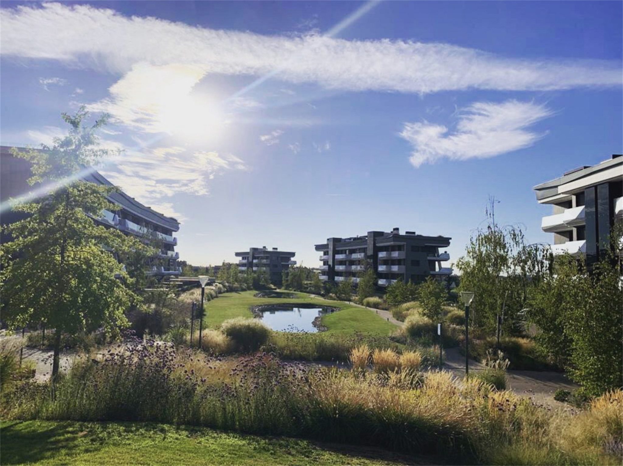 野趣自然 | 马德里 Casablanca 住宅区景观设计/ laND30 – mooool木藕设计网