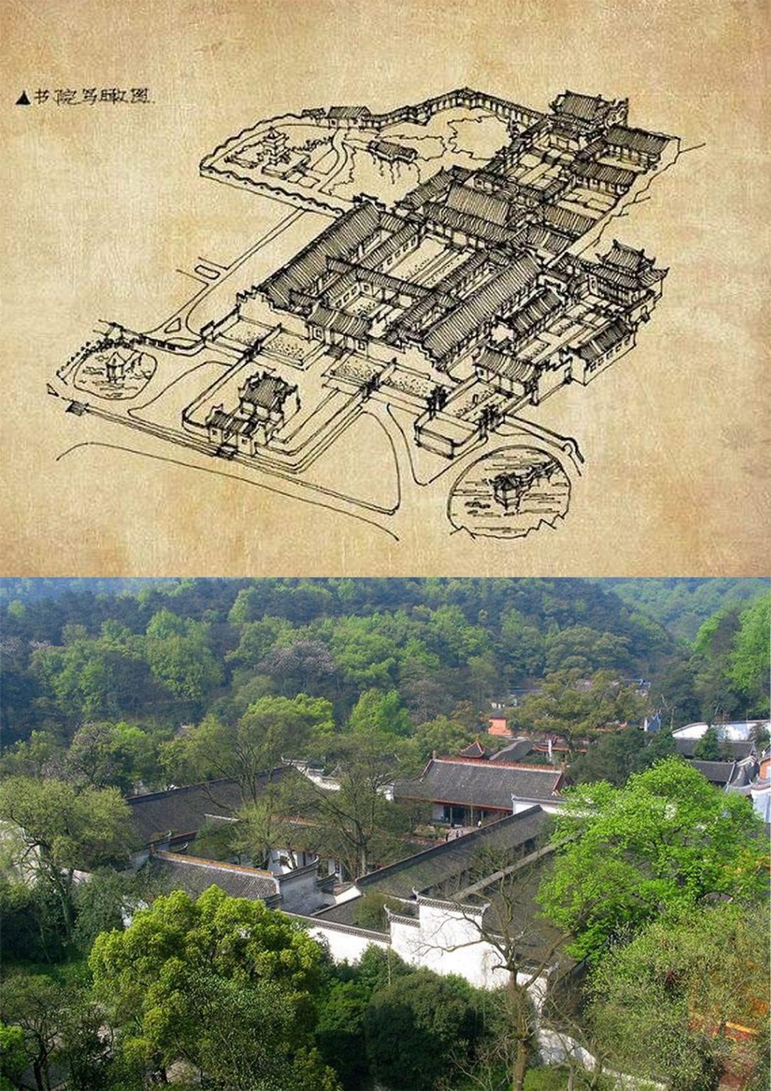 乐知学校—师如月光 / 大料建筑 – mooool木藕设计网