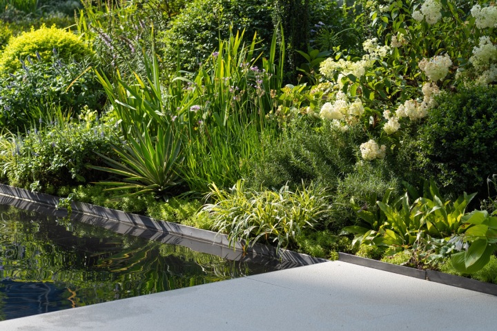 盛夏之约 | 杭州招商爱达1872展示区长效花境实践 / 微木花境 – mooool木藕设计网