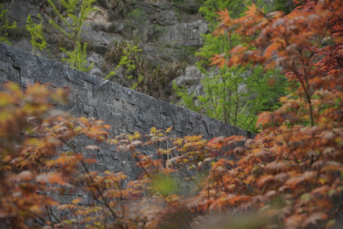 于万物生生不息中，觅得一寸居停时光 | 宜兴揽云谷酒店 / BHL贝伦汉斯 – mooool木藕设计网