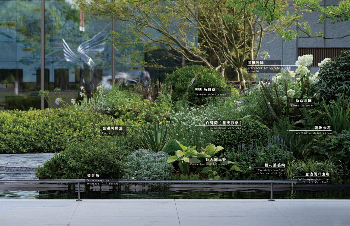 Hangzhou Merchants Aida 1872 Exhibition Area Long Term Flower Border Practice by WEMOOL STUDIO ...