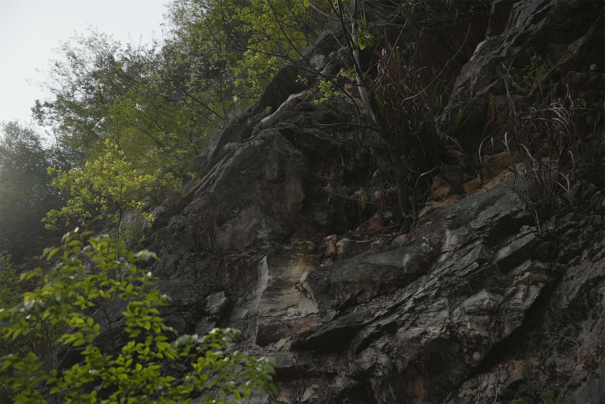 于万物生生不息中，觅得一寸居停时光 | 宜兴揽云谷酒店 / BHL贝伦汉斯 – mooool木藕设计网