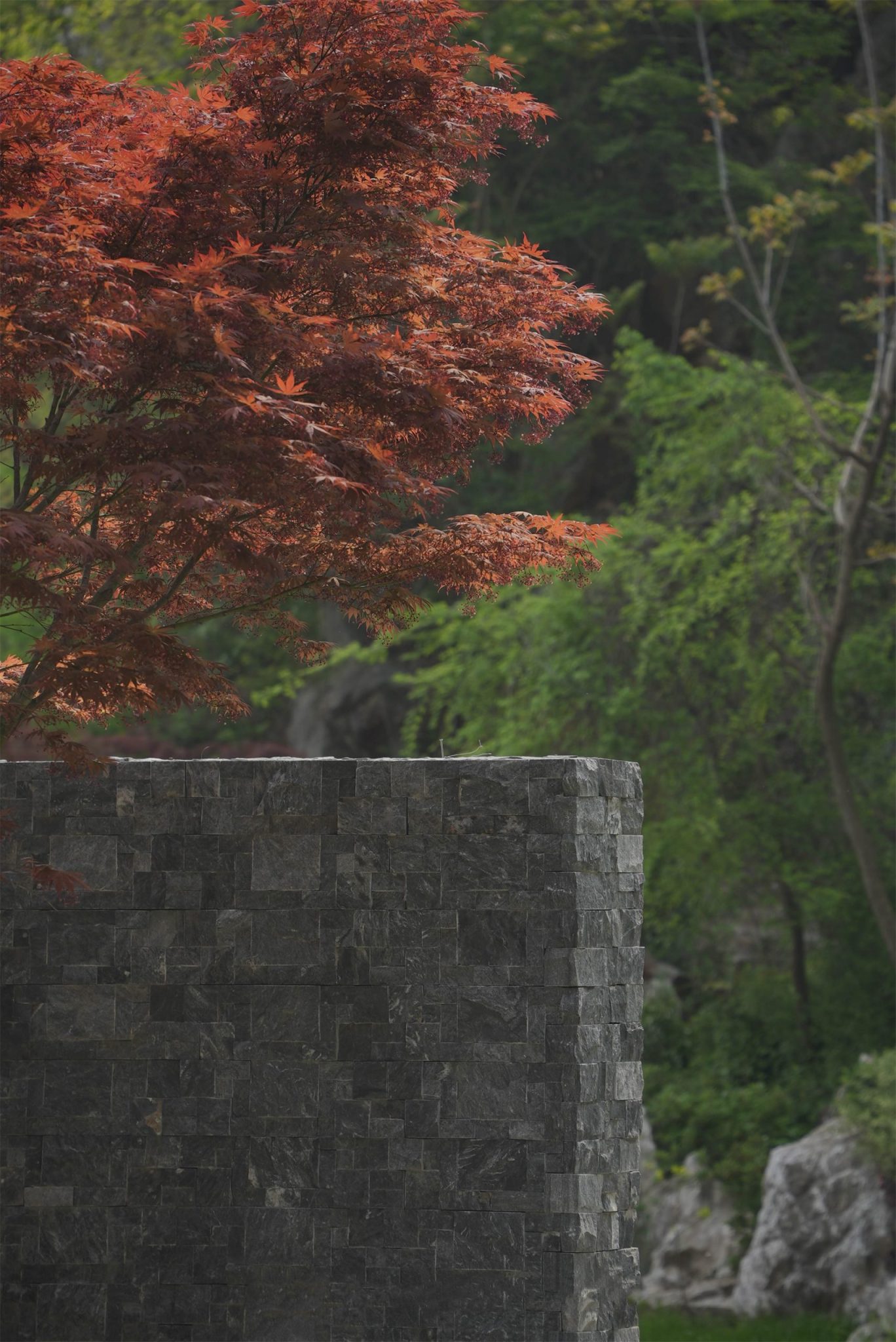 于万物生生不息中，觅得一寸居停时光 | 宜兴揽云谷酒店 / BHL贝伦汉斯 – mooool木藕设计网