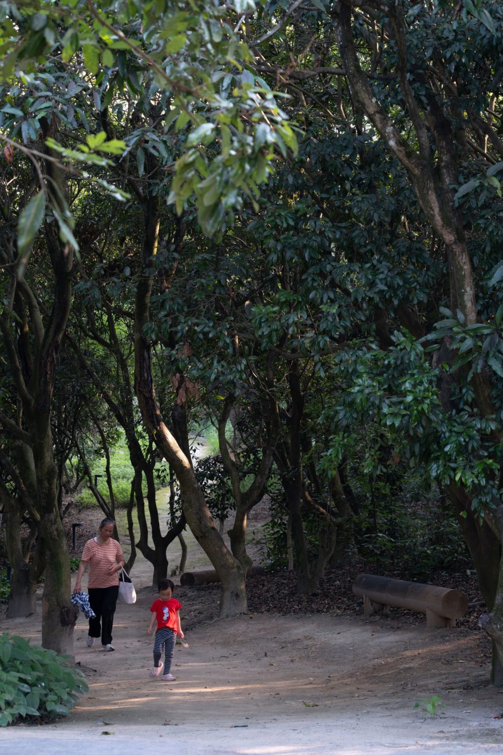 零碳公园：深圳City Walk新标地 / AUBE欧博设计 – mooool木藕设计网