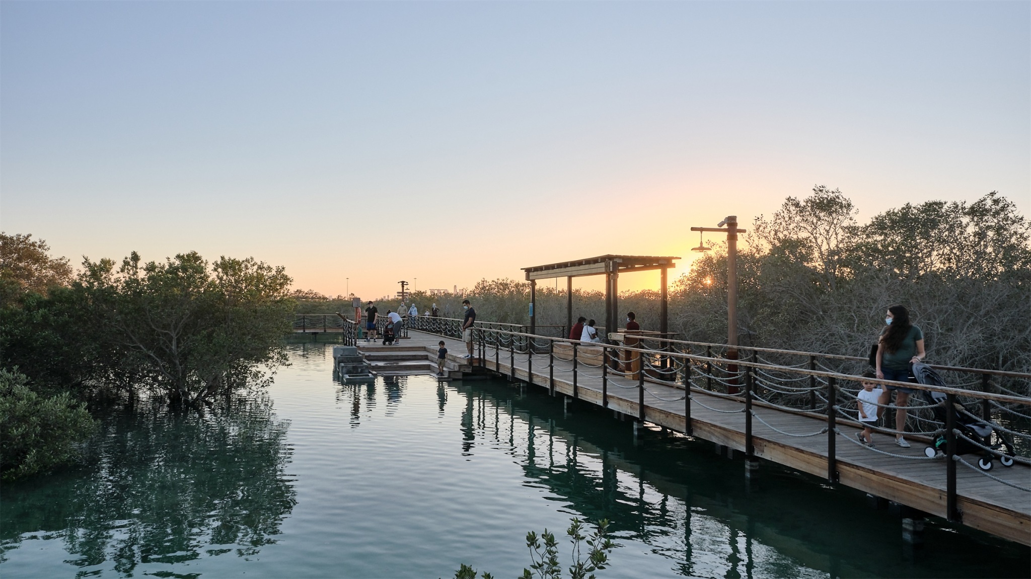 Mangrove Park by CEBRA Architecture – mooool