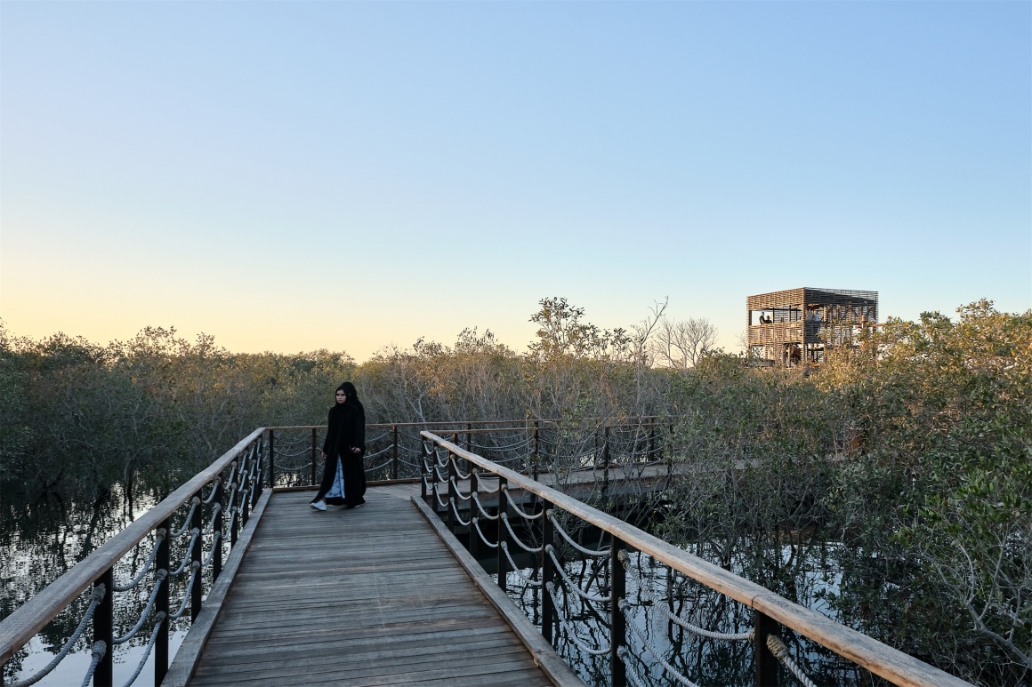 Mangrove Park by CEBRA Architecture – mooool
