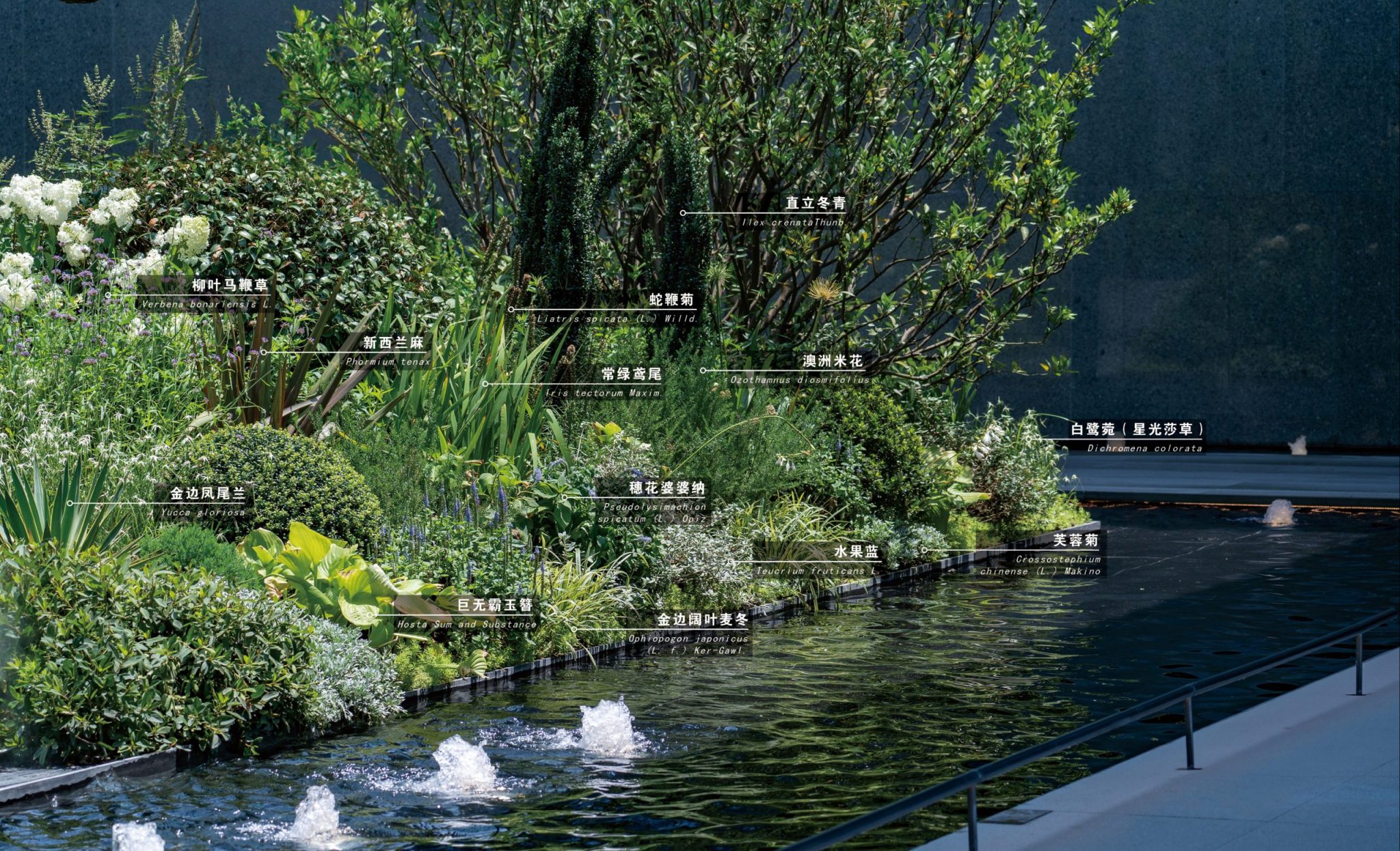 盛夏之约 | 杭州招商爱达1872展示区长效花境实践 / 微木花境 – mooool木藕设计网