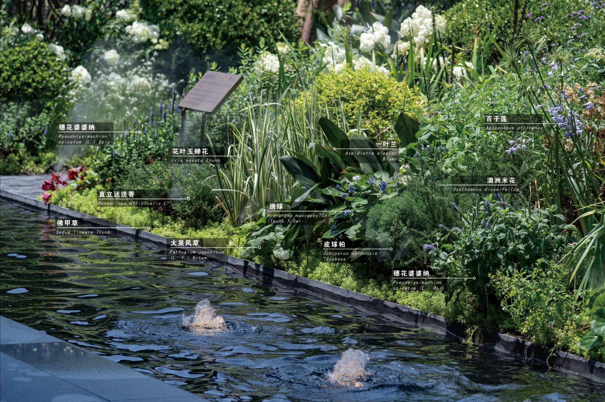 盛夏之约 | 杭州招商爱达1872展示区长效花境实践 / 微木花境 – mooool木藕设计网