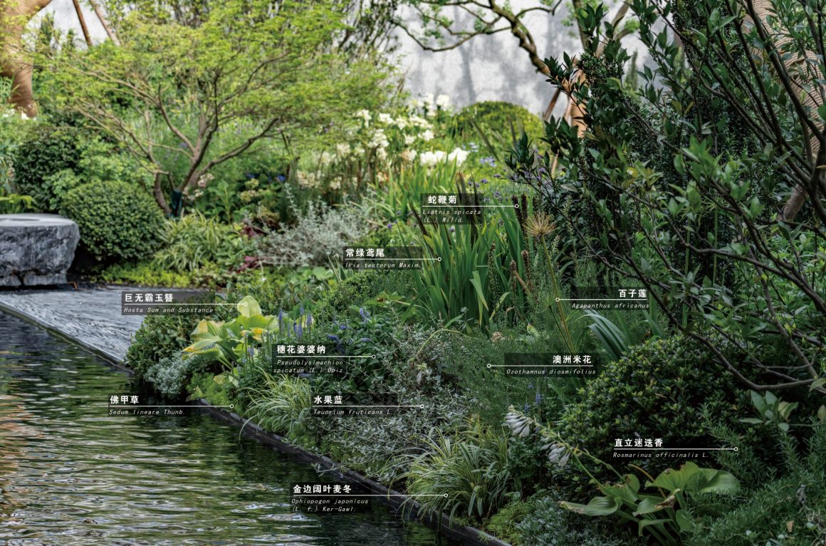 Hangzhou Merchants Aida 1872 Exhibition Area Long Term Flower Border Practice by WEMOOL STUDIO ...