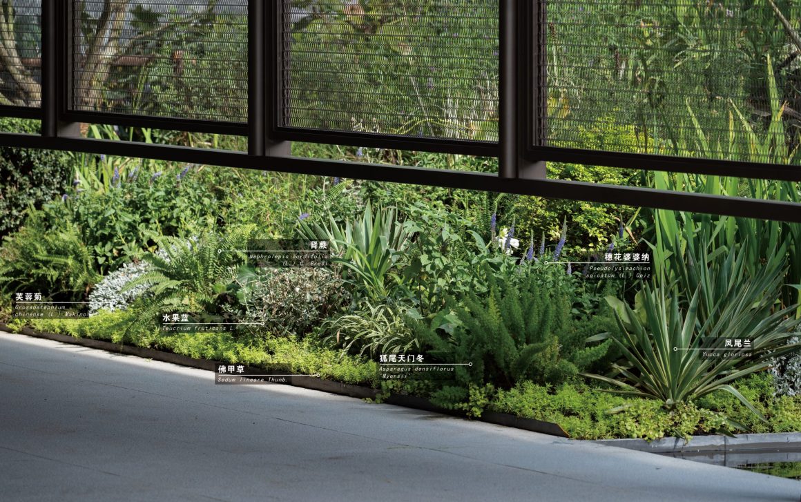 盛夏之约 | 杭州招商爱达1872展示区长效花境实践 / 微木花境 – mooool木藕设计网