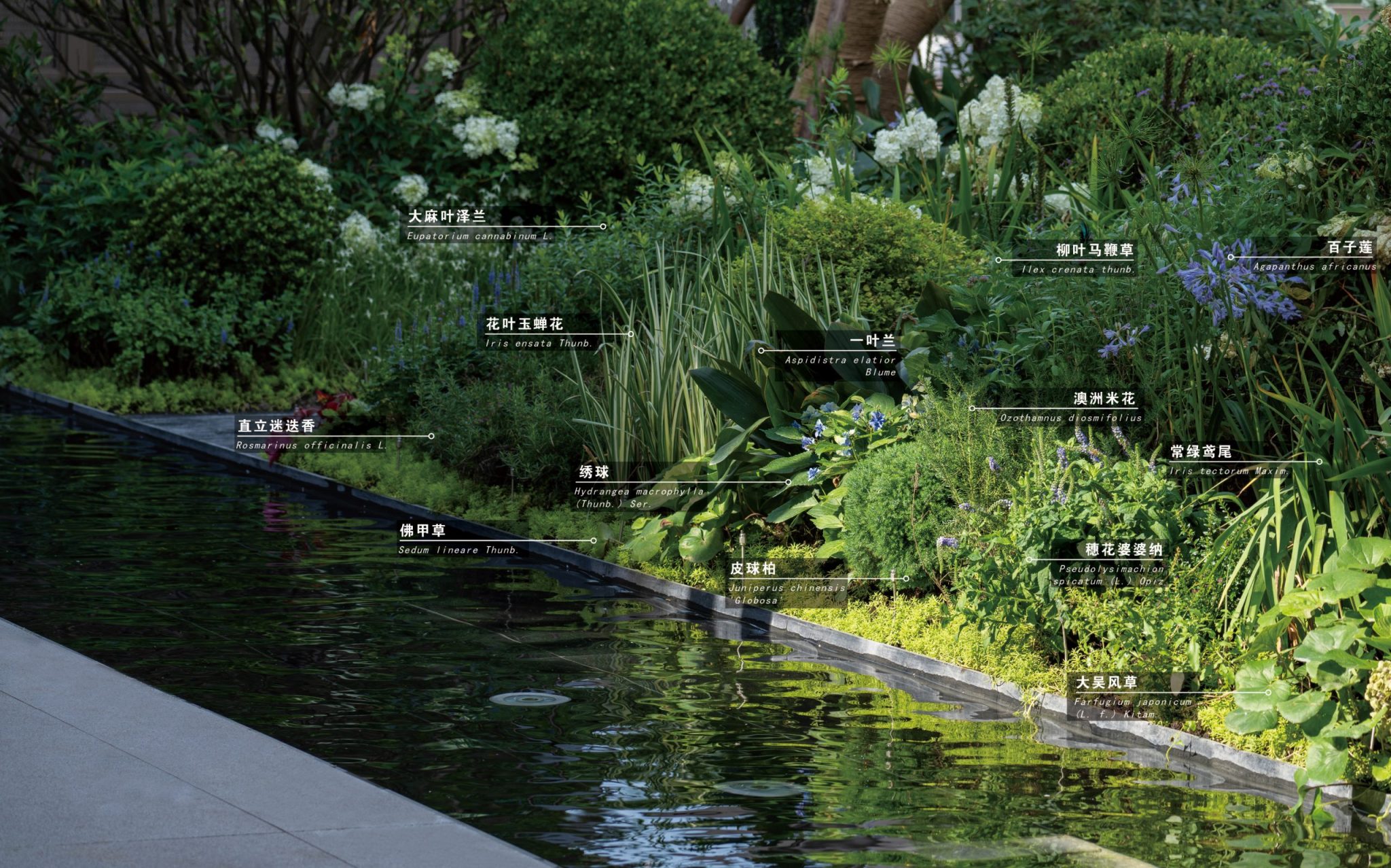 盛夏之约 | 杭州招商爱达1872展示区长效花境实践 / 微木花境 – mooool木藕设计网