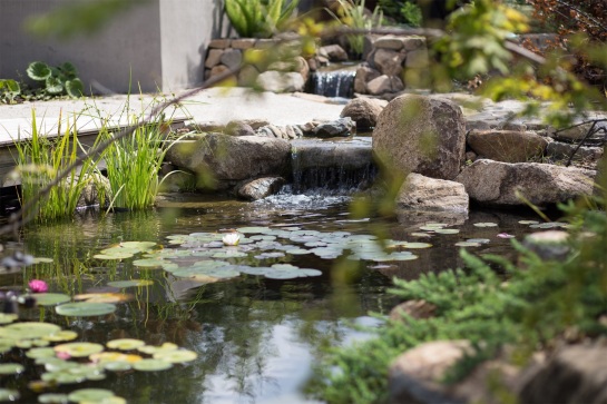 Big Fish工作室办公空间 / 大鱼景观设计 – mooool木藕设计网