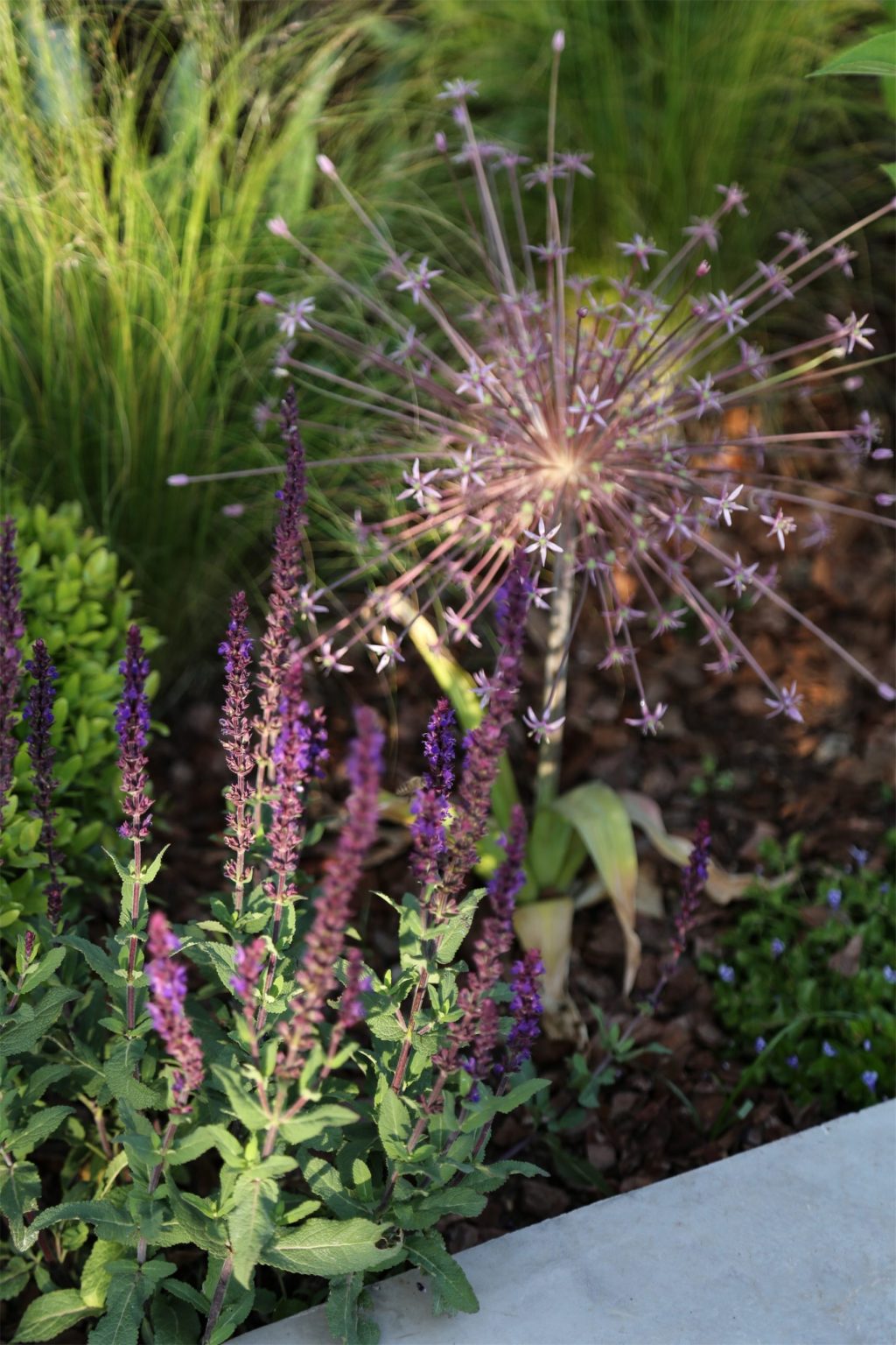 Big Fish工作室办公空间 / 大鱼景观设计 – mooool木藕设计网