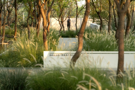 Luhu C7 Gentoo Bay Model Island by MW’ LANDSCAPE ARCHIECTURE – mooool