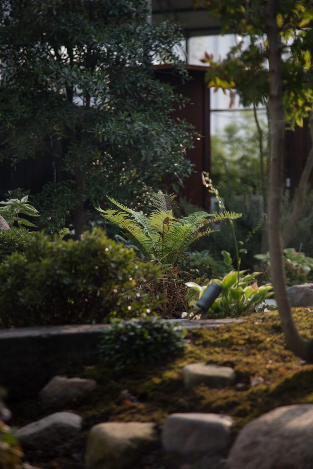 Big Fish工作室办公空间 / 大鱼景观设计 – mooool木藕设计网